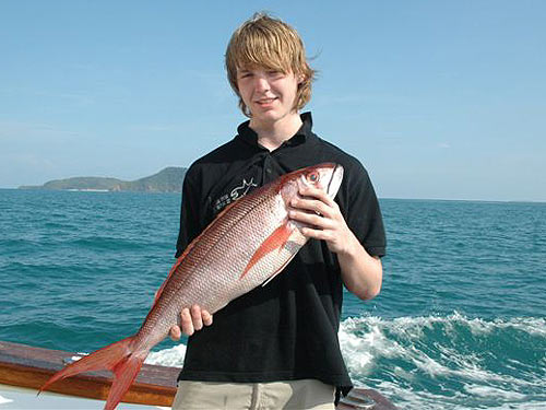 Rosy Red Lips Fish